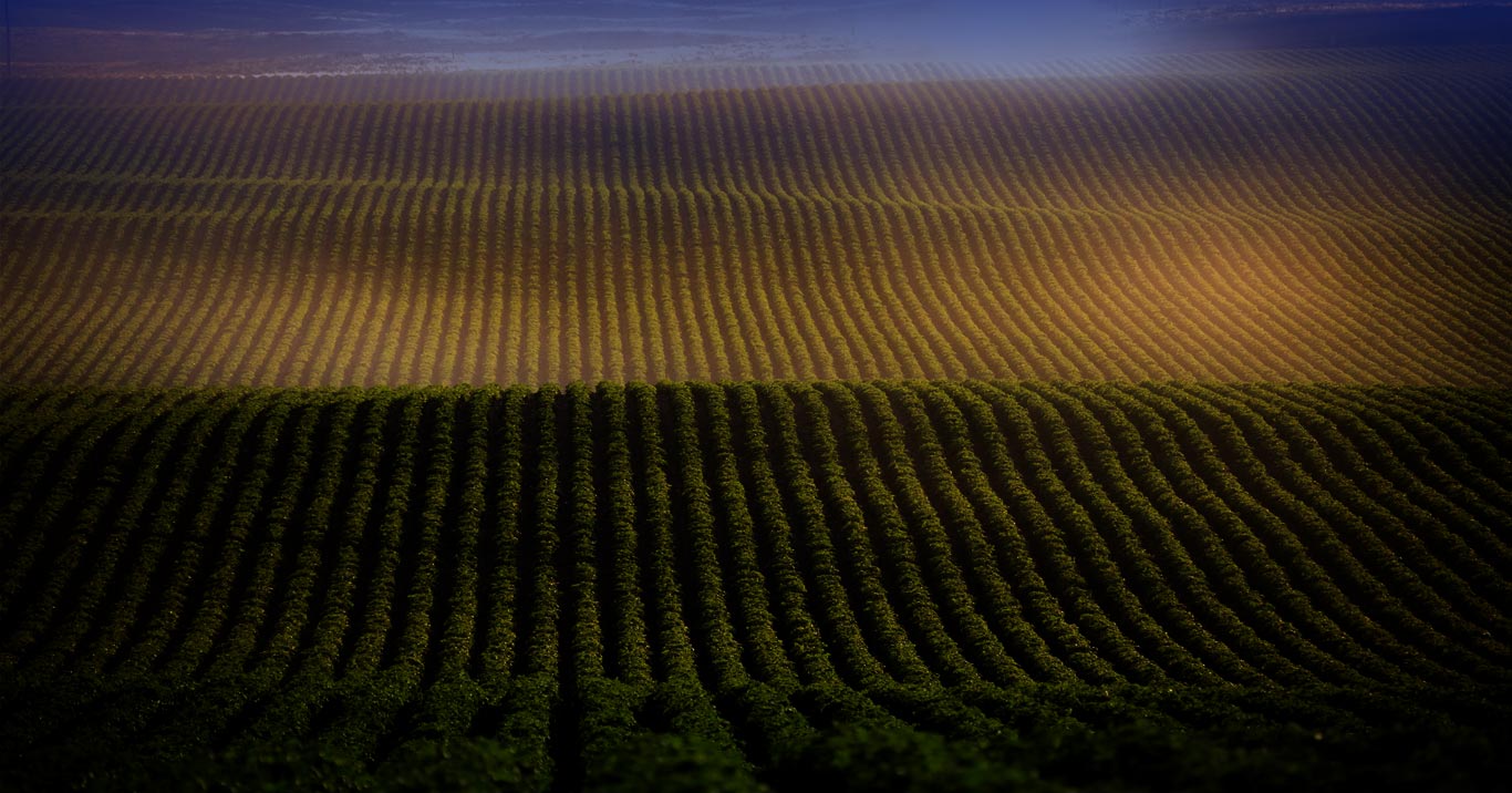 Business Detail - Colorado Proud