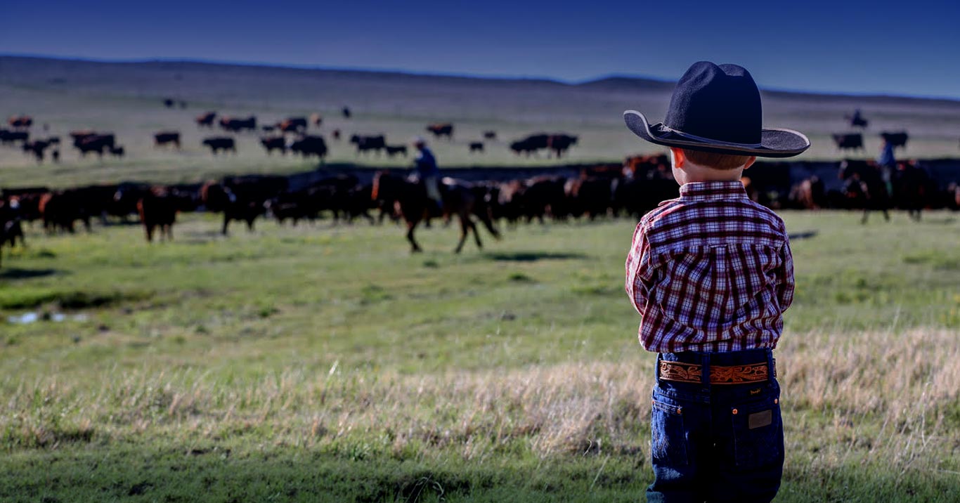 Connect with us - Colorado Proud