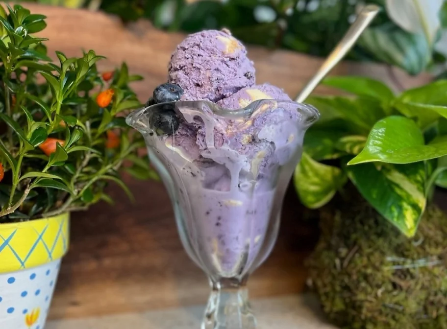 Native - Colorado Proud